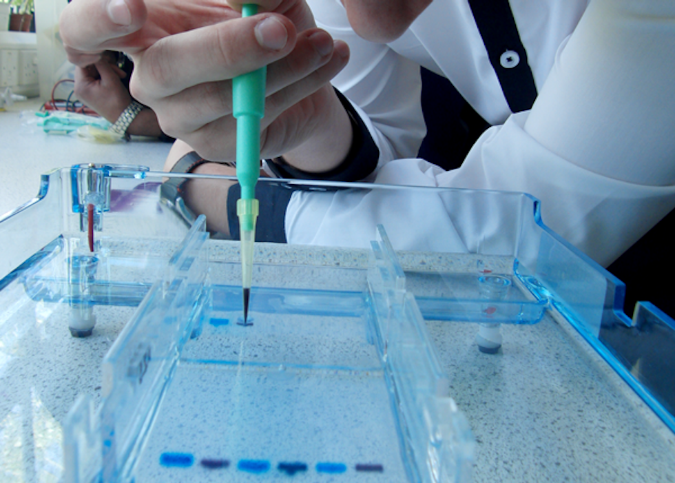 Key Stage 5 Science | Littleover Community School